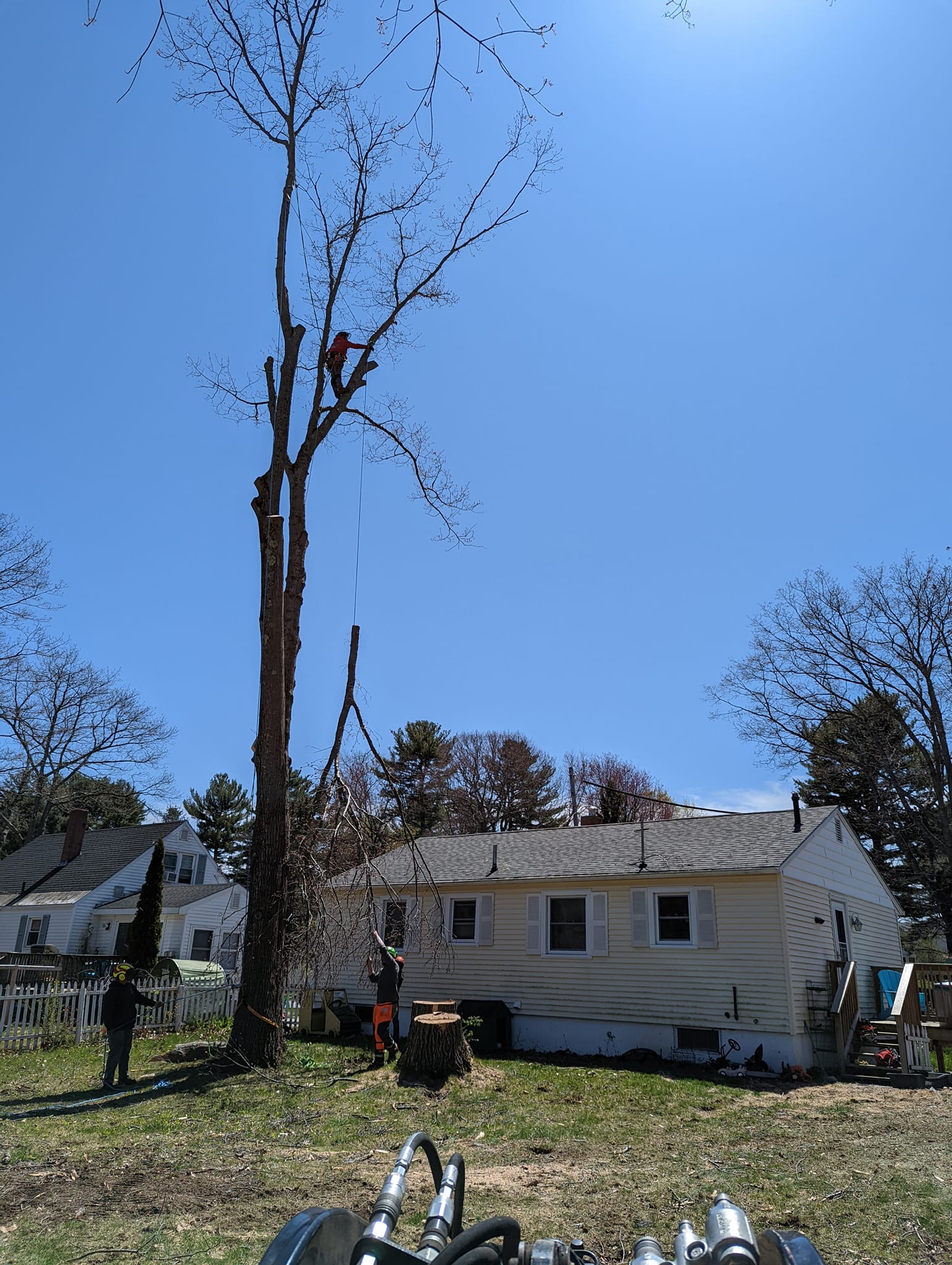 All Seasons Tree Service LLC - Belgrade, ME | Arborist