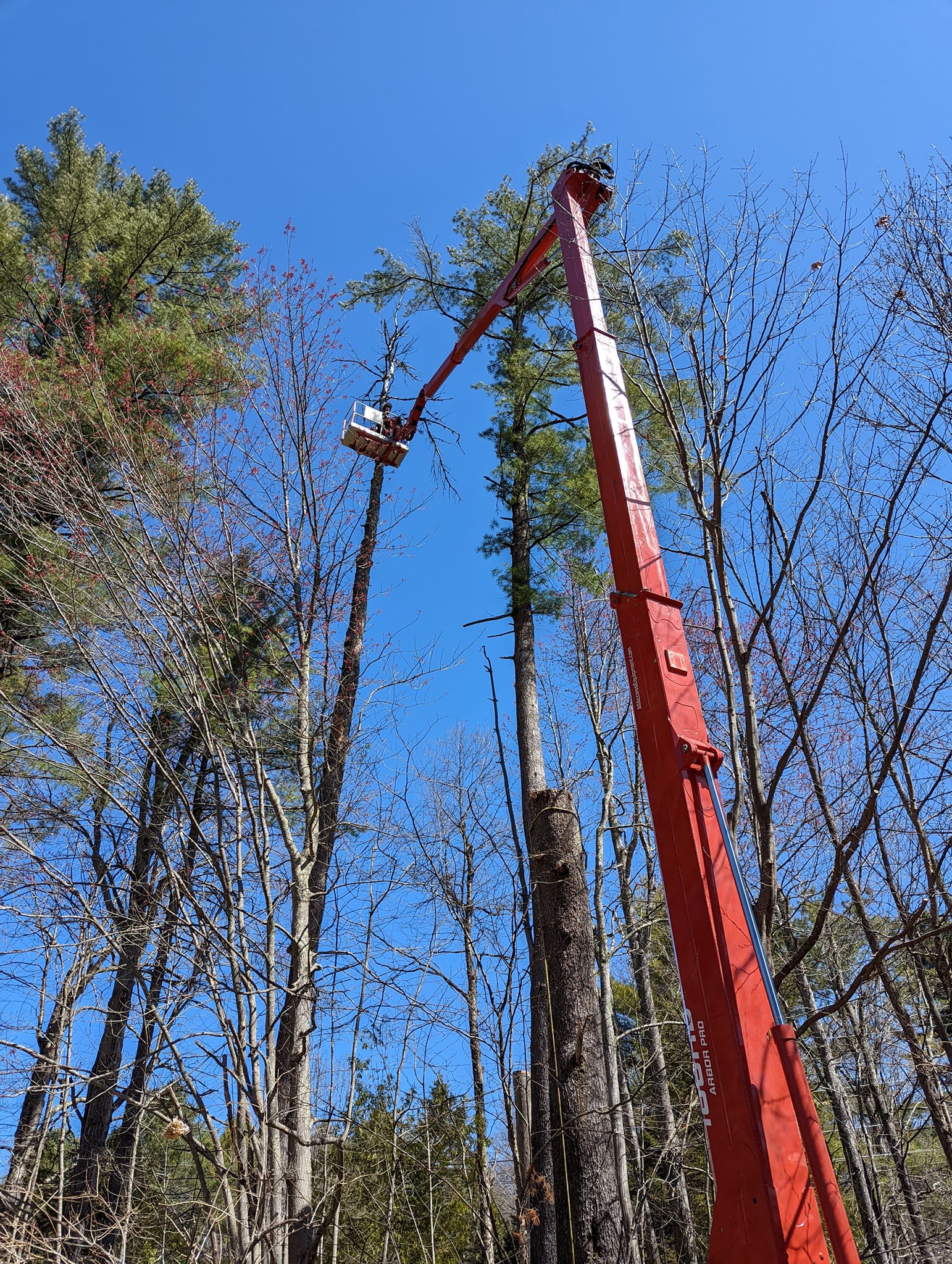 All Seasons Tree Service LLC - Belgrade, ME | Arborist